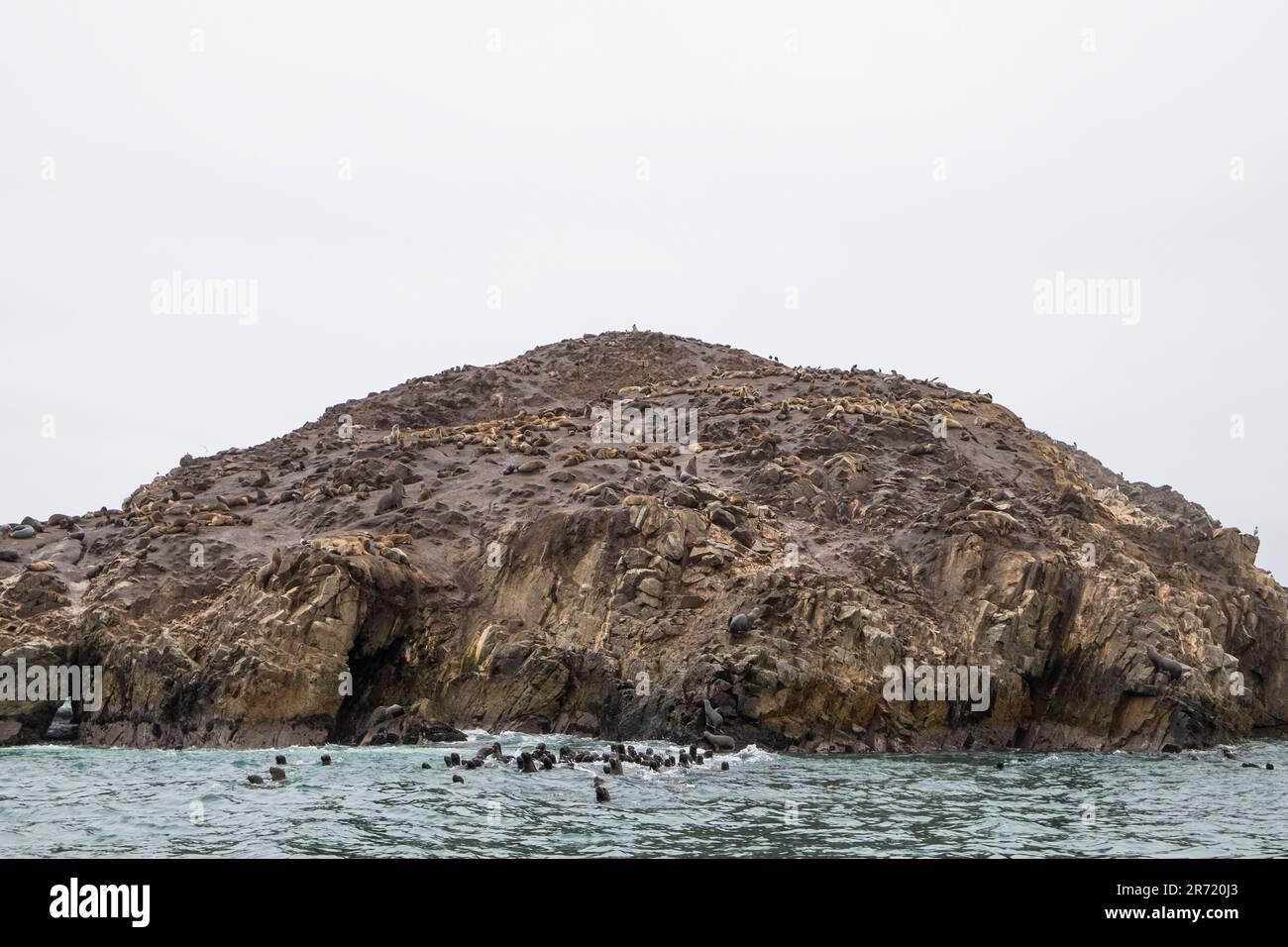 Peru. ballestas islands Stock Photo - Alamy