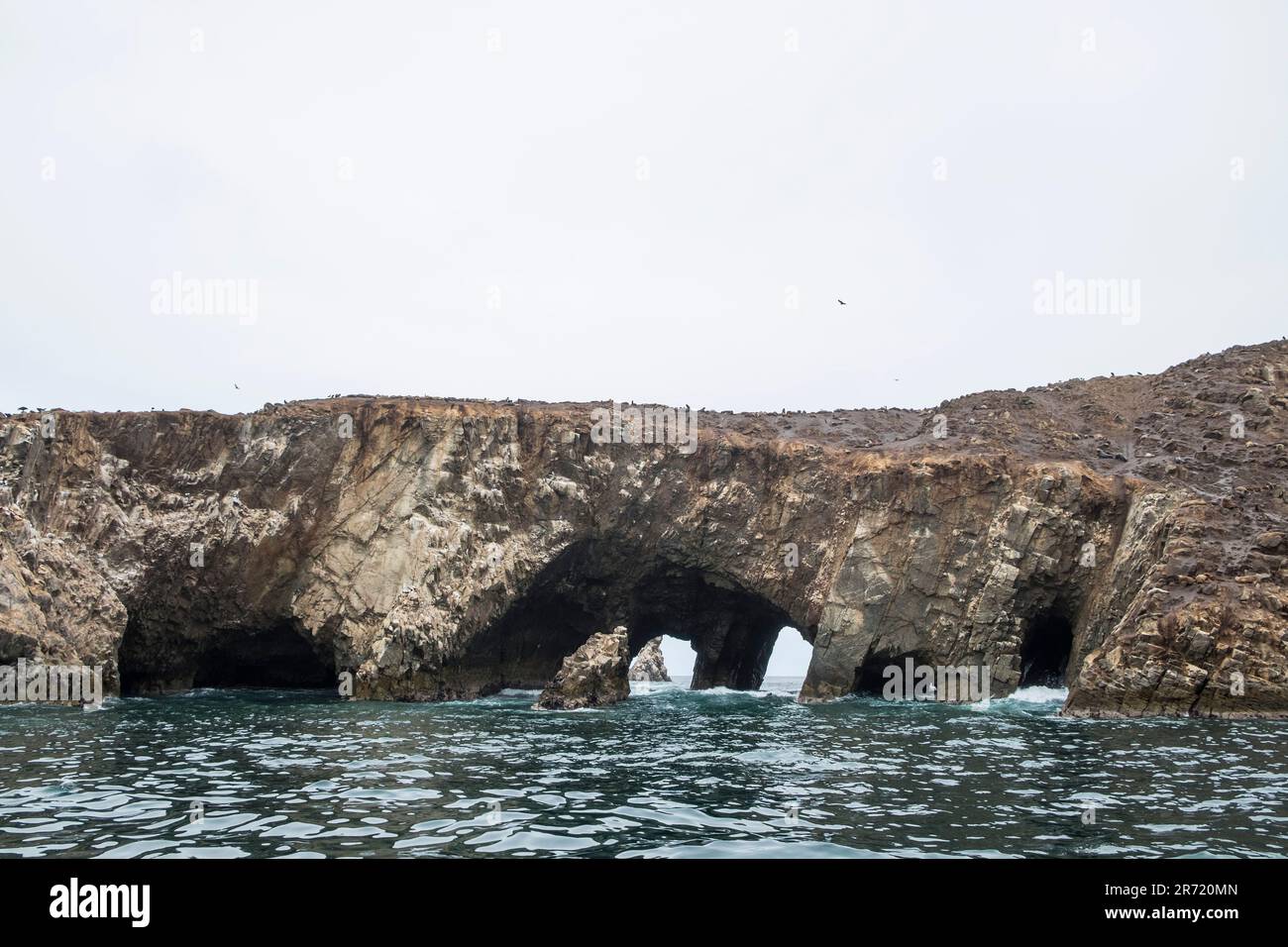 Peru. ballestas islands Stock Photo - Alamy