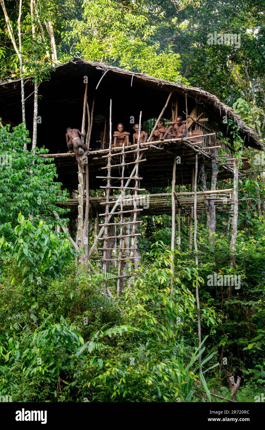 Korowai tree house hi-res stock photography and images - Alamy