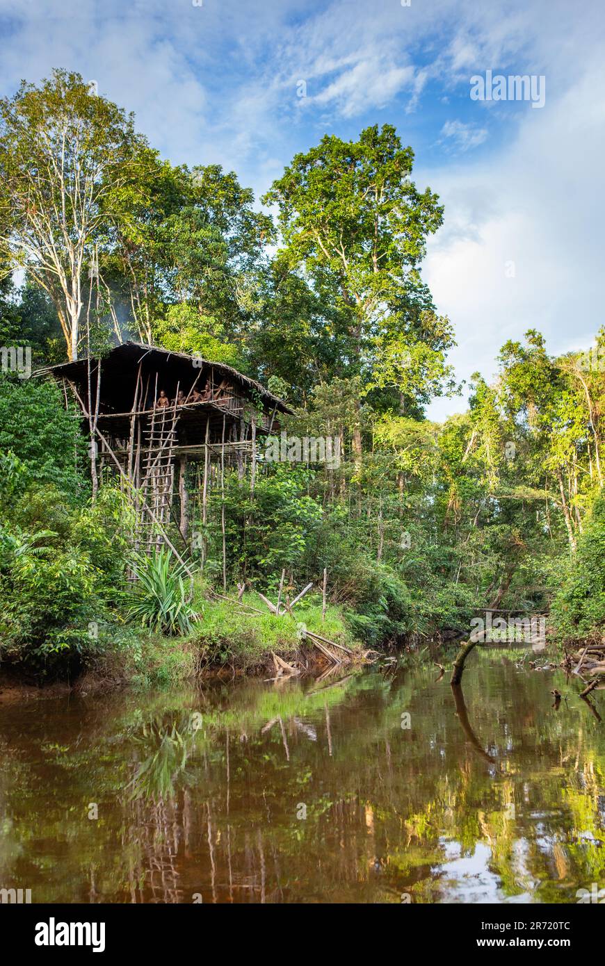 Kombai people hi-res stock photography and images - Alamy