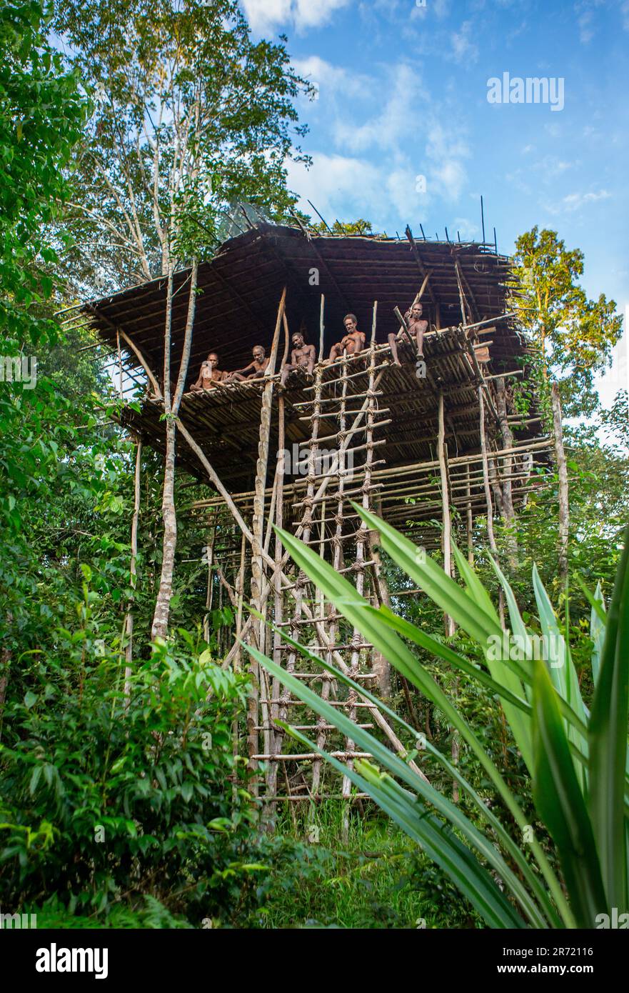 Korowai tree house hi-res stock photography and images - Alamy