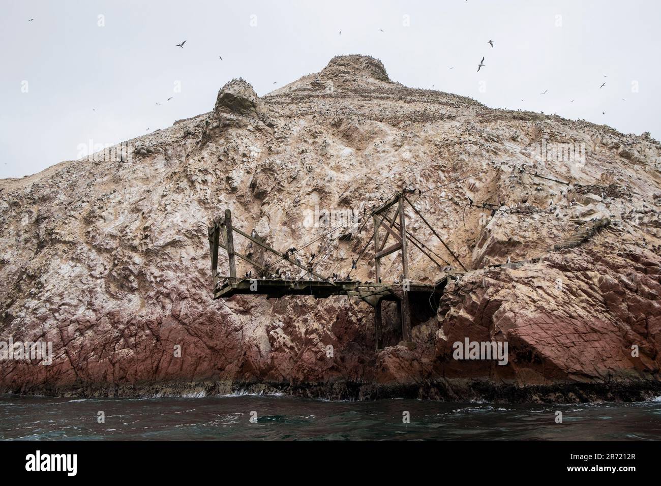 Peru. ballestas islands Stock Photo - Alamy