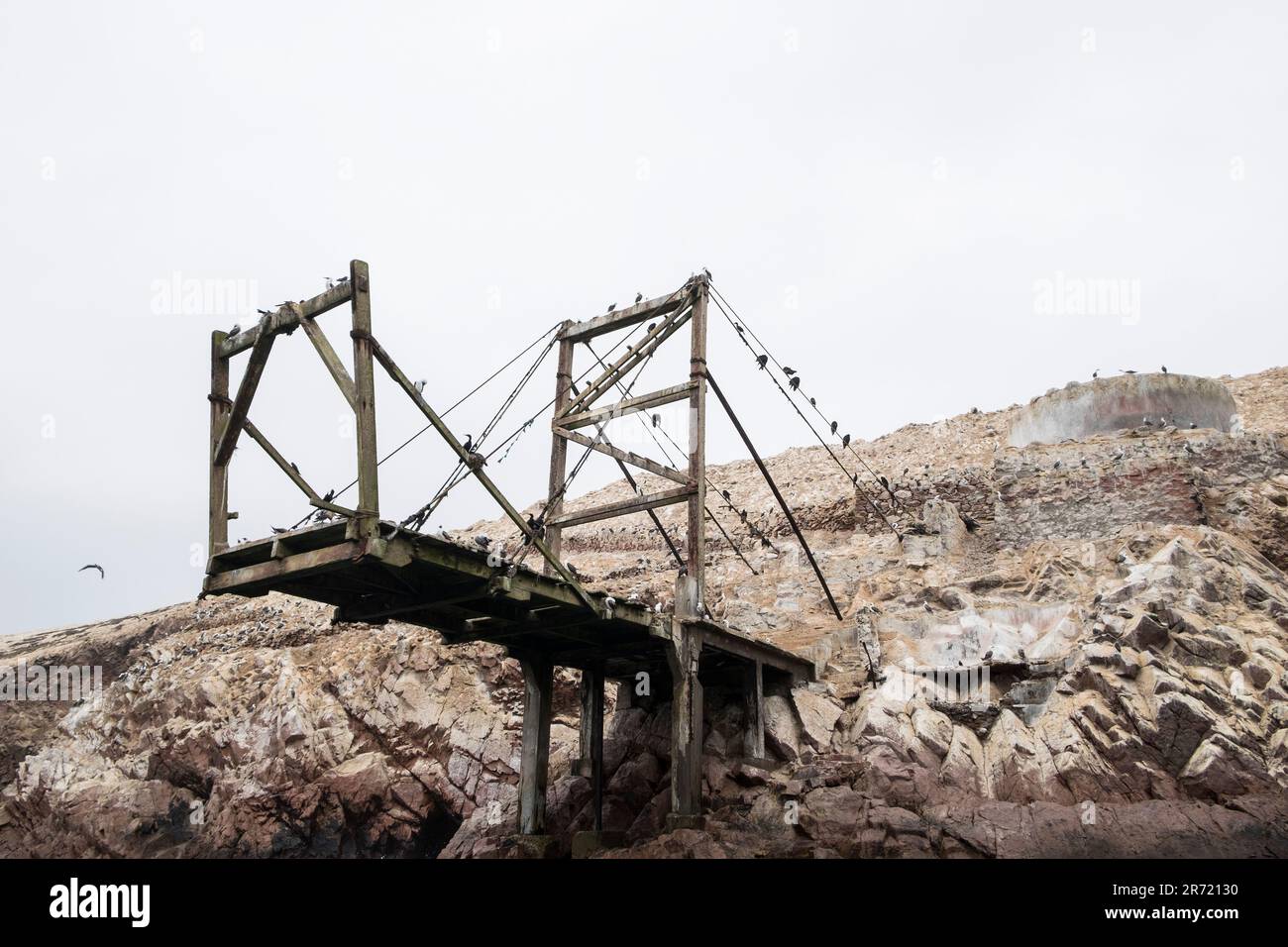 Peru. ballestas islands Stock Photo - Alamy
