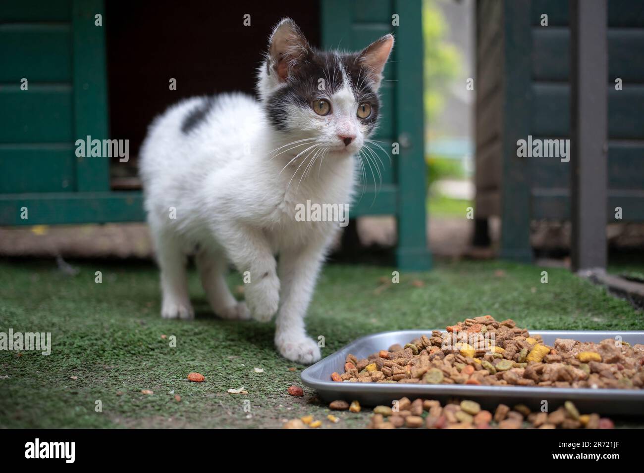 Carefully feeding hi-res stock photography and images - Alamy