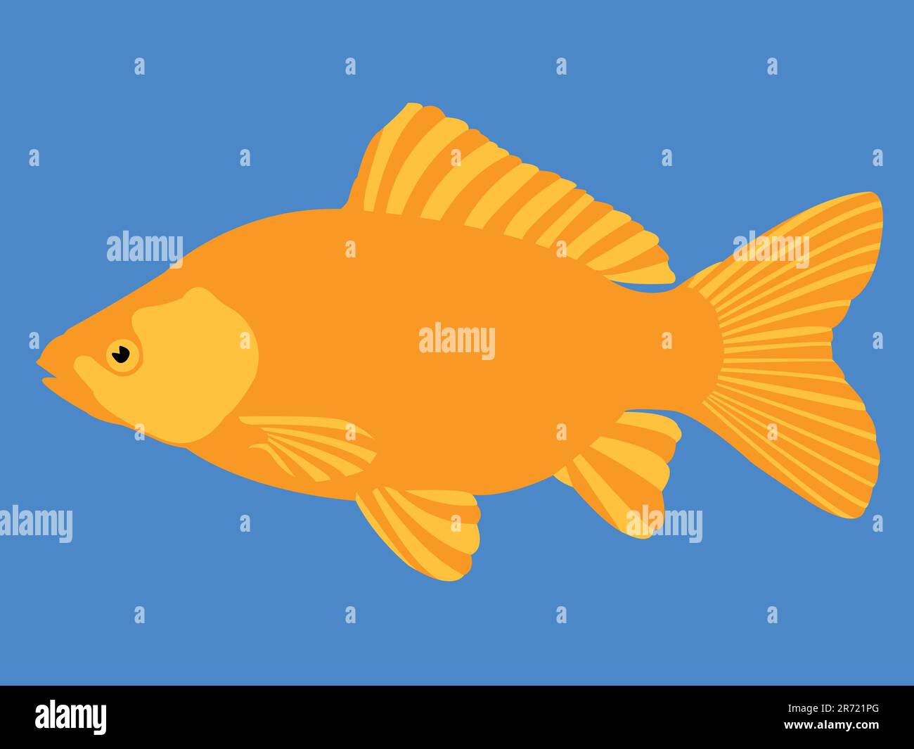 gold fish - vector Stock Vector Image & Art - Alamy