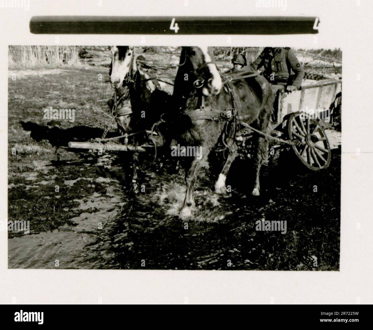 SS Photographer Brantsen documented the activities of the Nederland ...