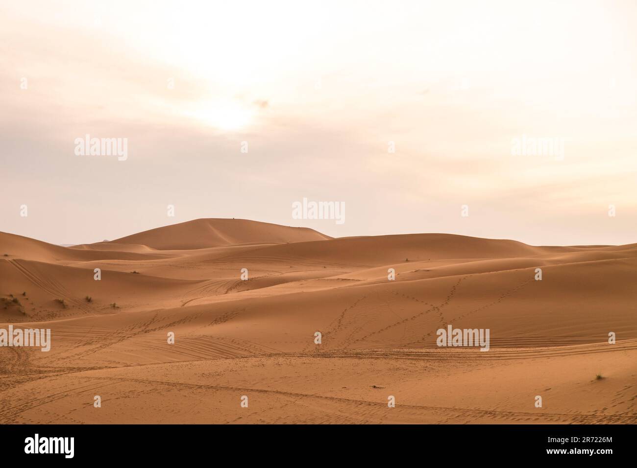 Morocco. Sahara desert. Merzouga Stock Photo - Alamy