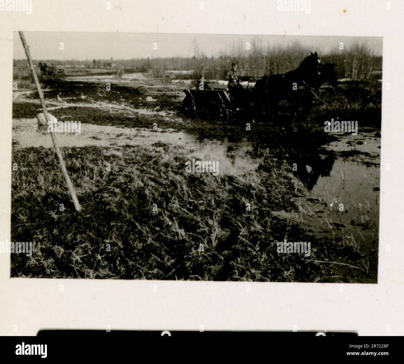 SS Photographer Brantsen documented the activities of the Nederland ...