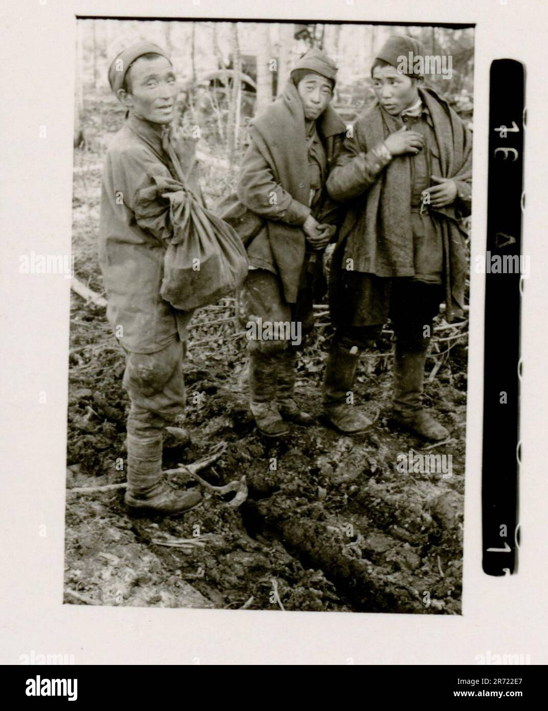 SS Photographer Brantsen documented the activities of the Nederland ...