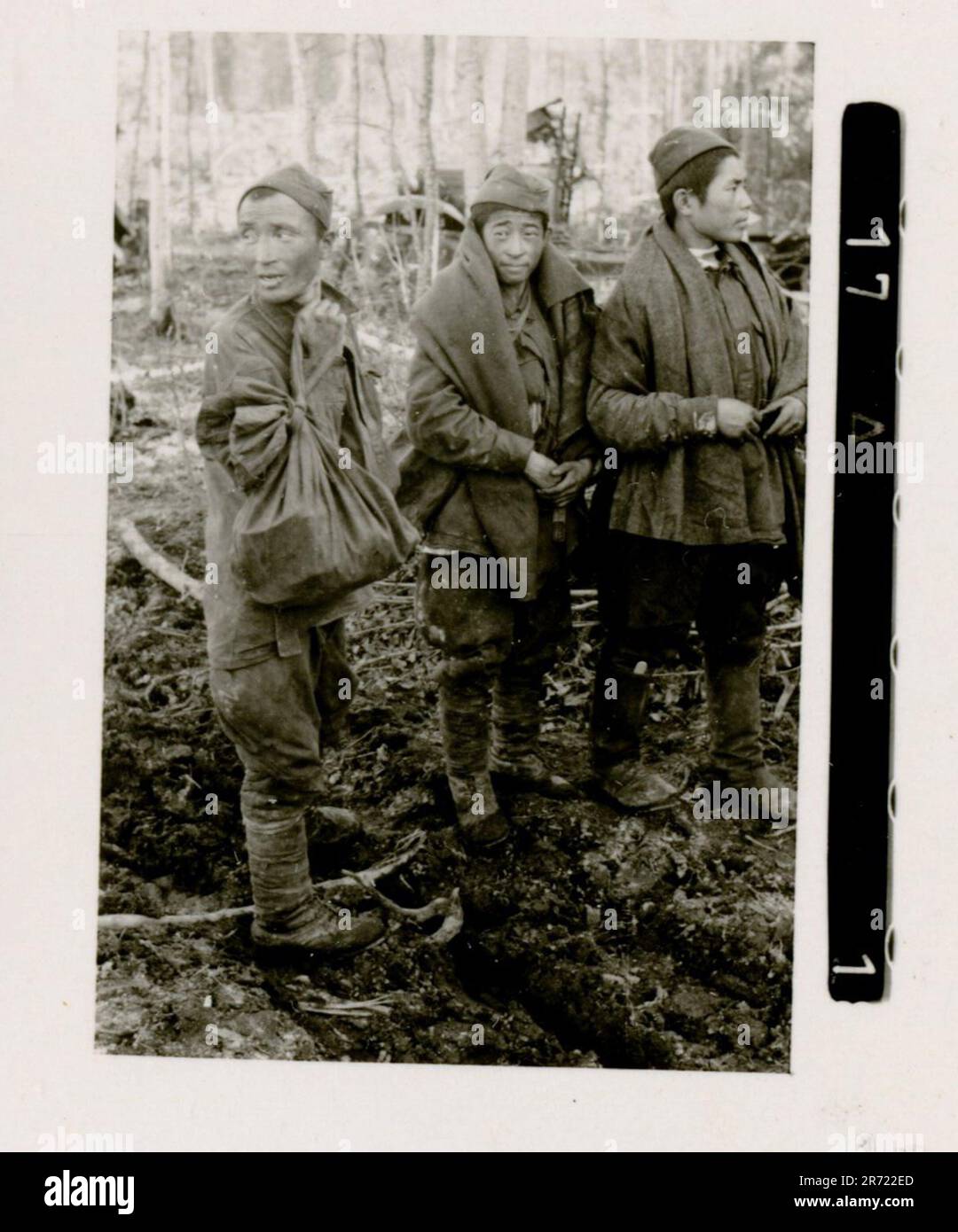 SS Photographer Brantsen documented the activities of the Nederland ...