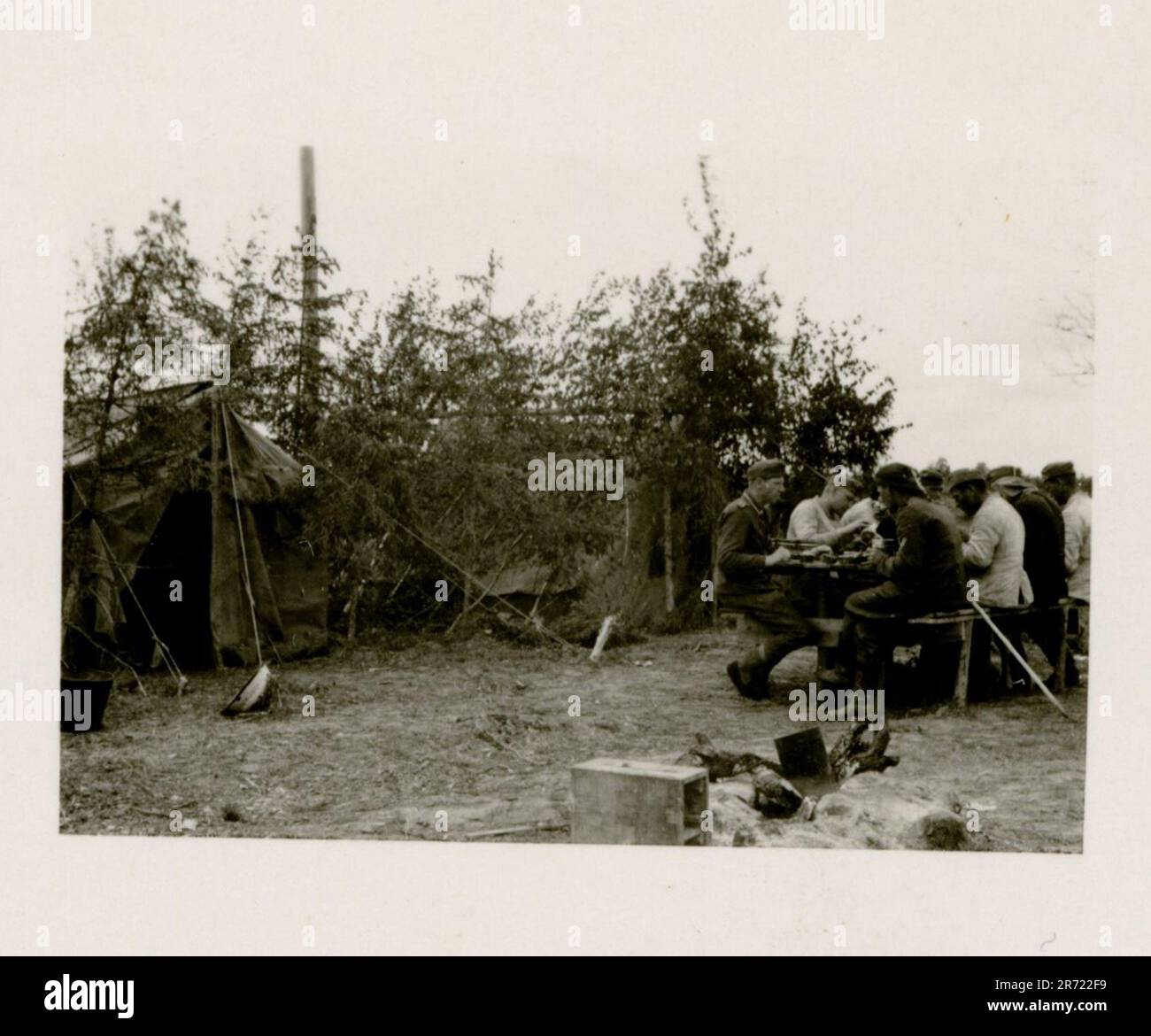 SS Photographer Brantsen documented the activities of the Nederland ...