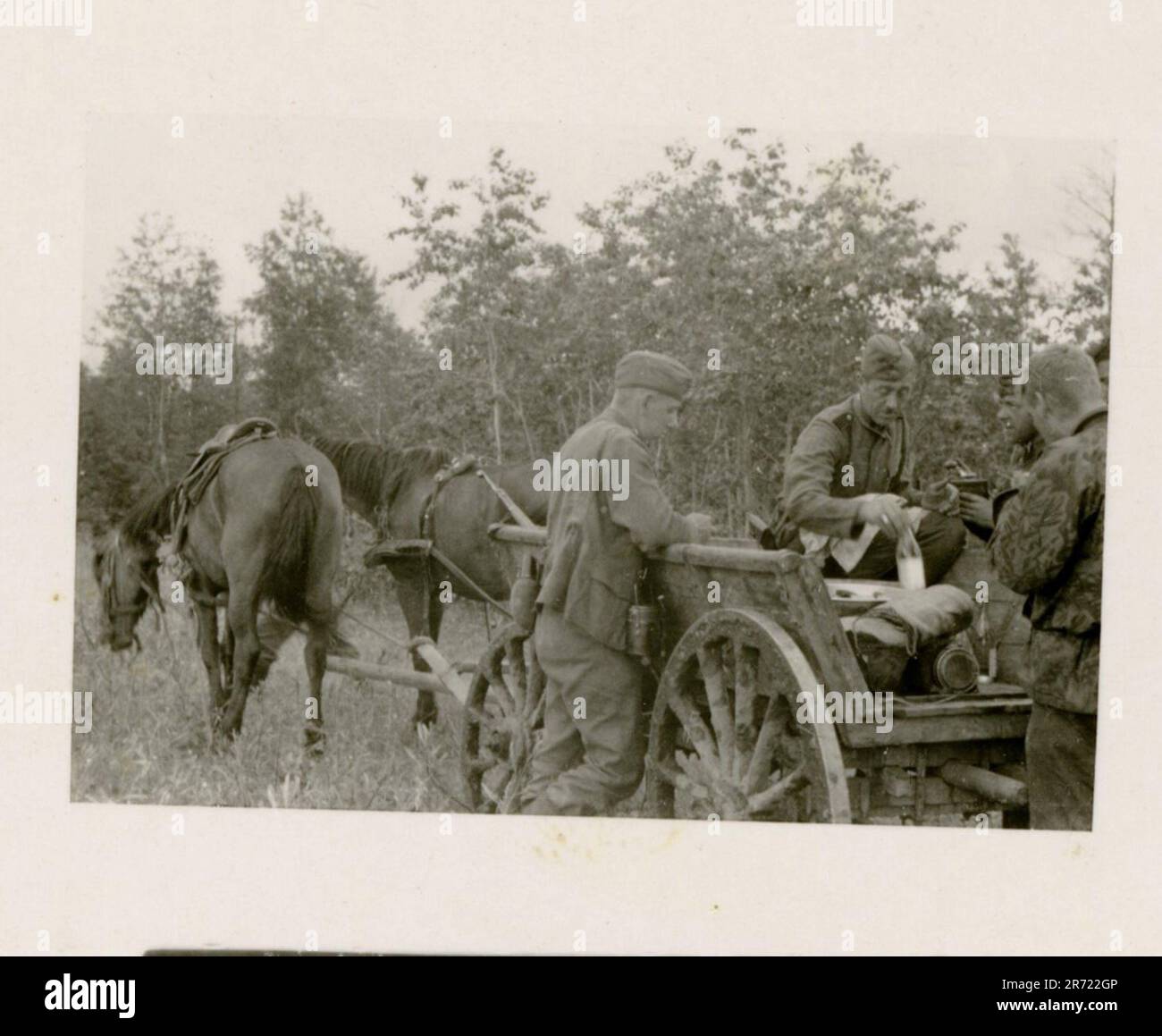SS Photographer Brantsen documented the activities of the Nederland ...