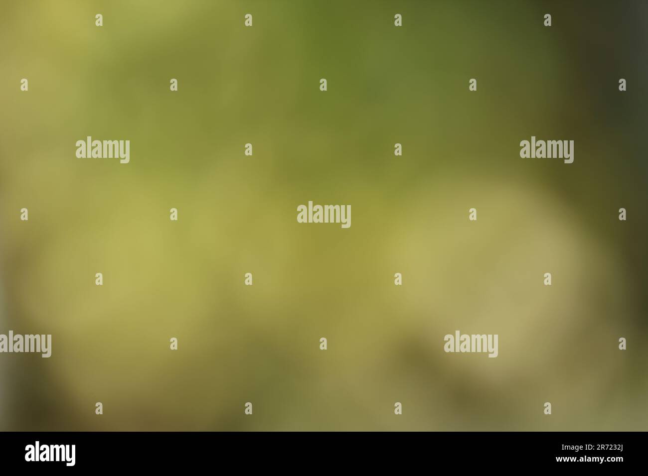 Green blurred natural Fresh healthy green bio background. Abstract ...