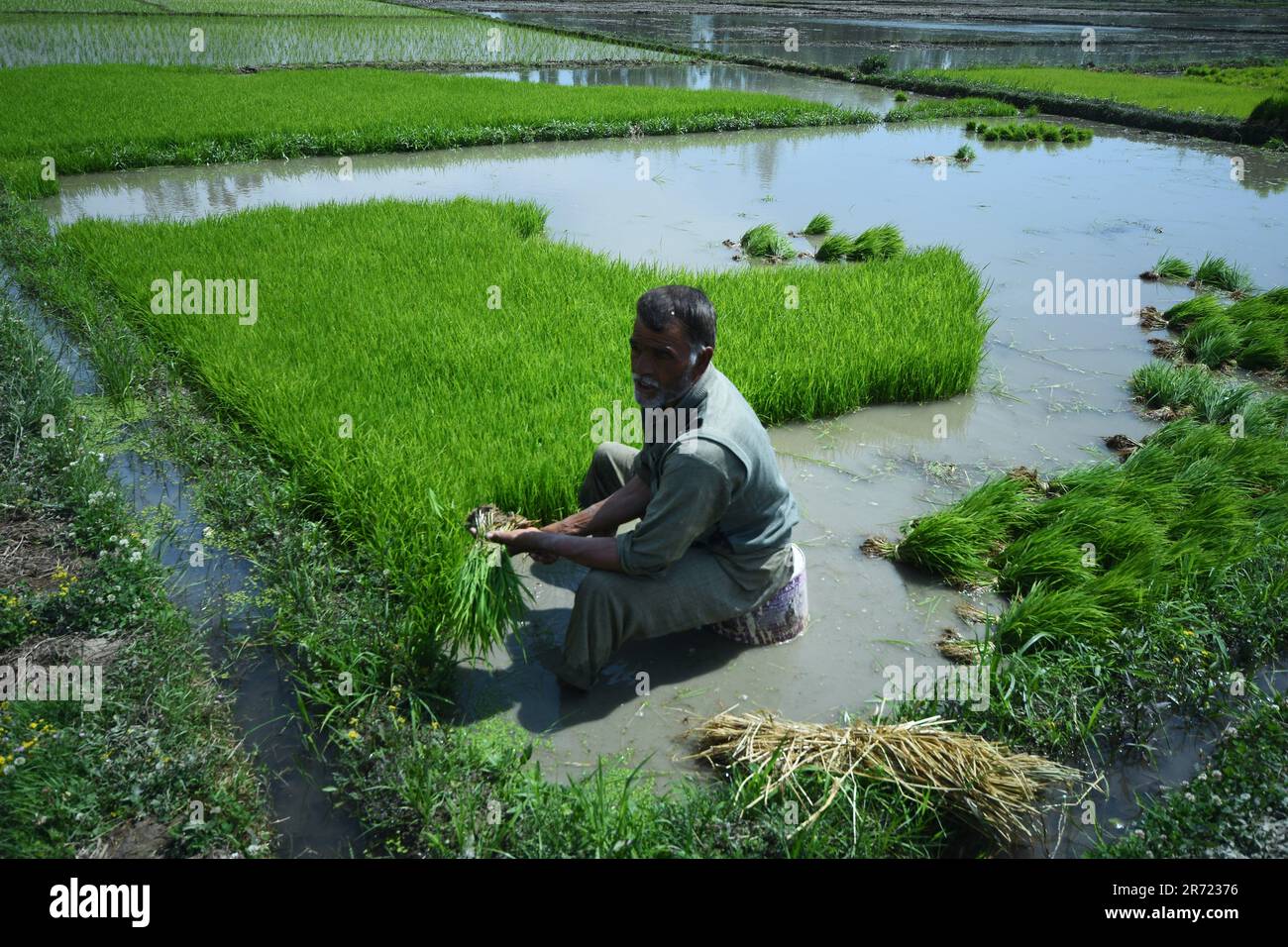 Traditional indian farming methods hi-res stock photography and images ...