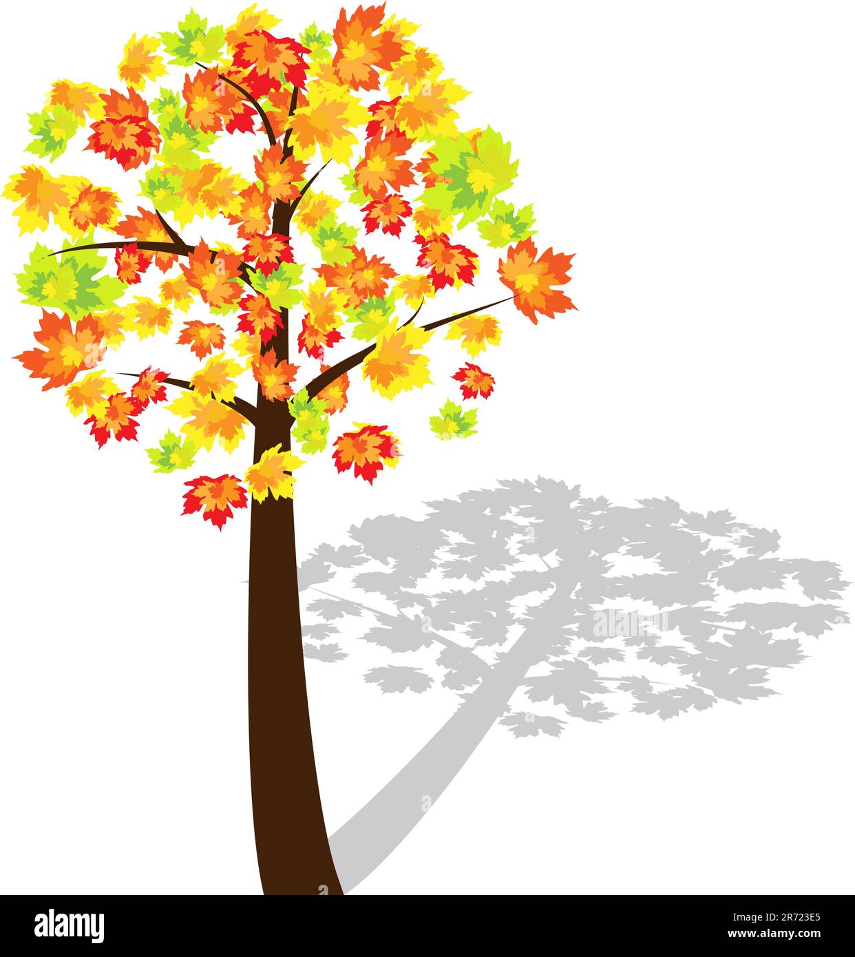 Vector picture of maple with orange, red, yellow and green leaves. RGB ...