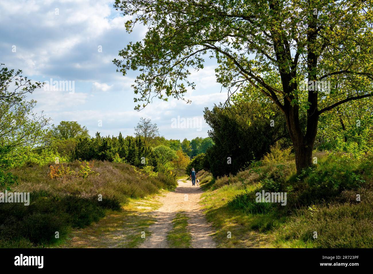 Heathland area hi-res stock photography and images - Alamy