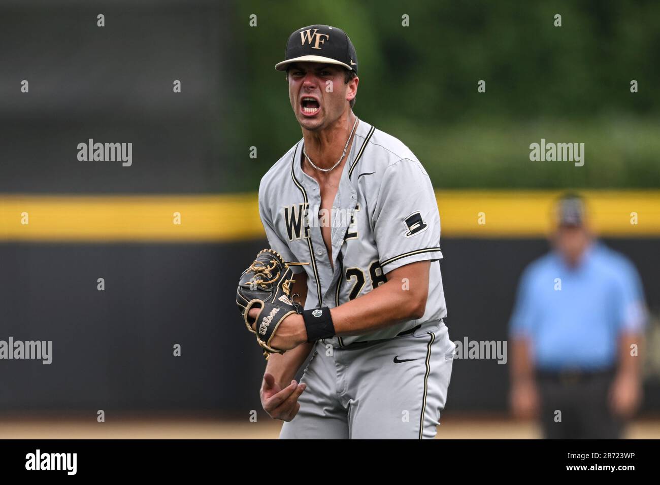 Wake Forest pitcher Cole Roland (28) reacts to striking out Alabama's ...