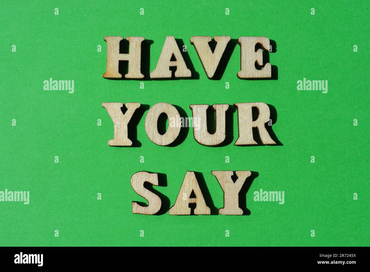 Have Your Say, words in wooden alphabet letters isolated on green ...
