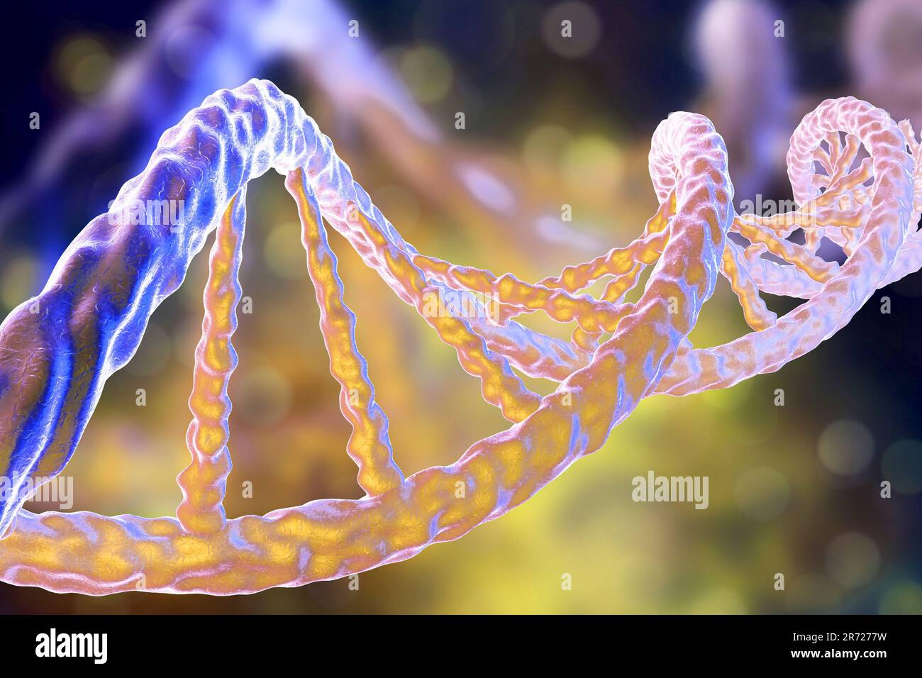 DNA molecule, computer artwork. The molecule of DNA (deoxyribonucleic ...