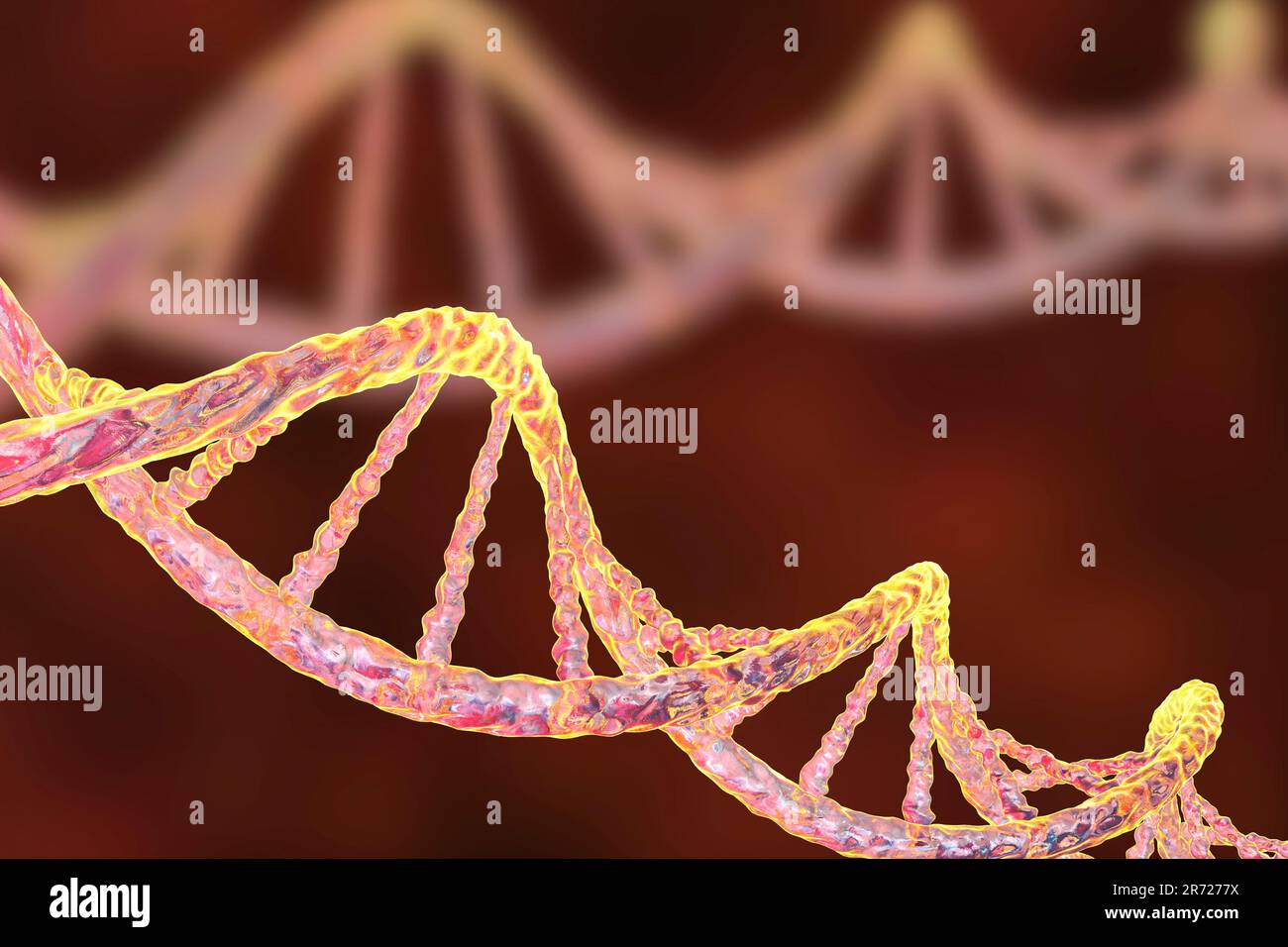 DNA molecule, computer artwork. The molecule of DNA (deoxyribonucleic ...