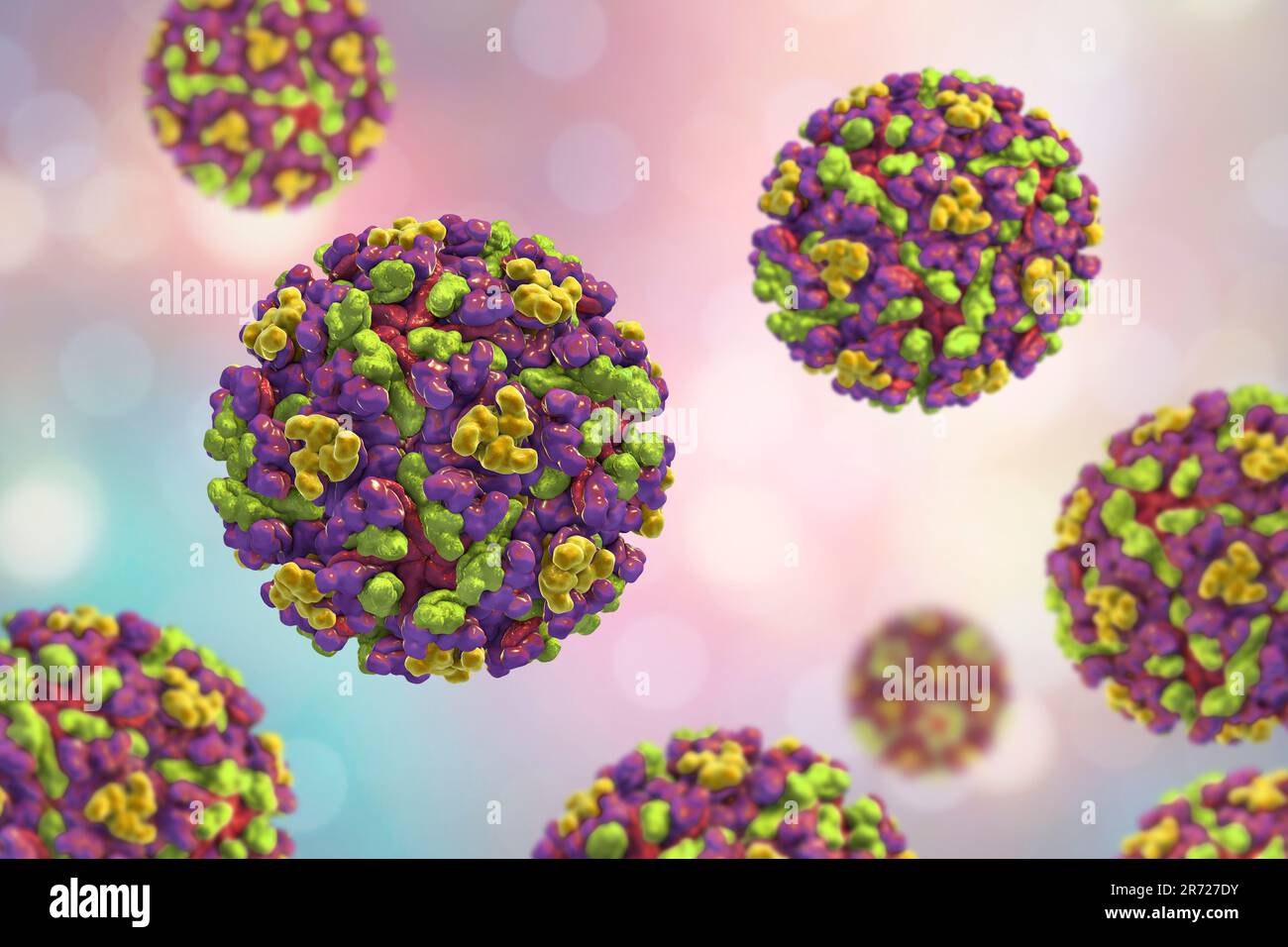 Eastern equine encephalitis virus, computer illustration. The virus is ...