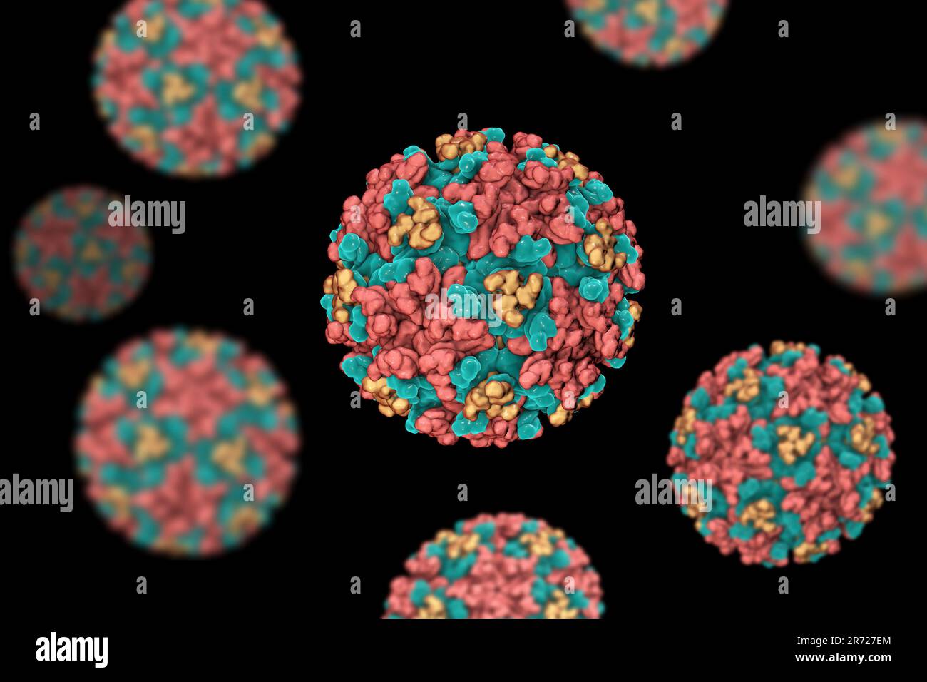 Eastern equine encephalitis virus, computer illustration. The virus is ...
