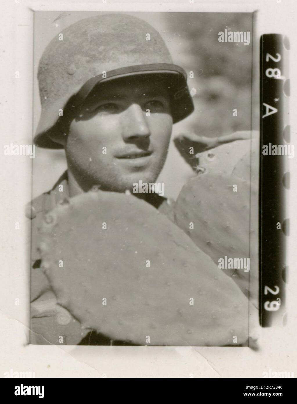 SS Photographer Büschel from the Leibstandarte Adolf Hitler in Russia ...