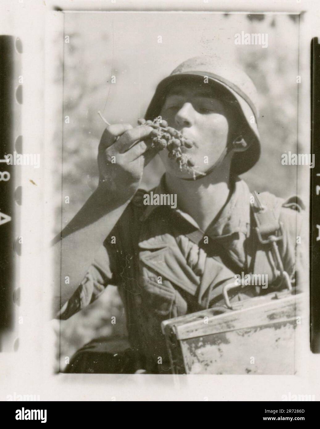 SS Photographer Büschel from the Leibstandarte Adolf Hitler in Russia ...