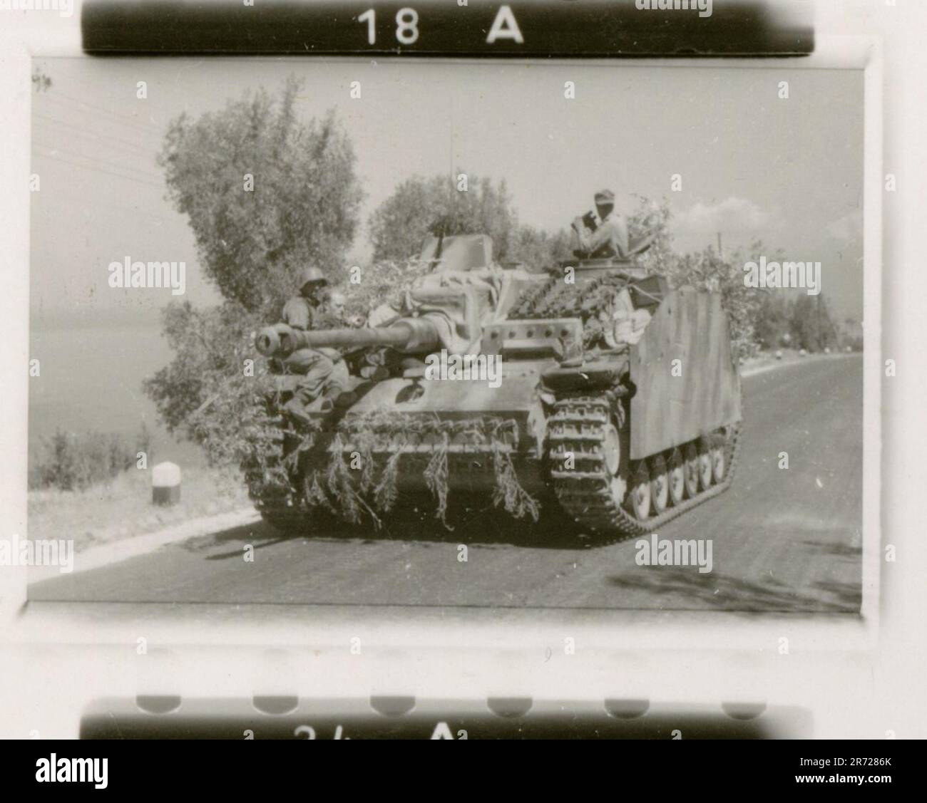 SS Photographer Büschel from the Leibstandarte Adolf Hitler in Russia ...