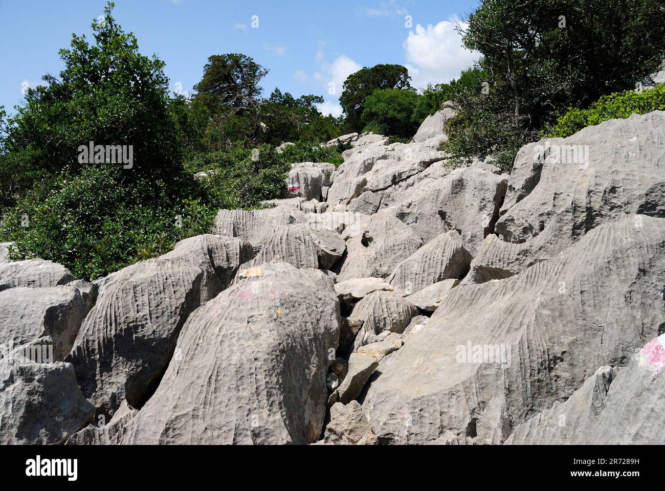 The path from cuile Sas Traes to cuile Sos Mojos Stock Photo - Alamy