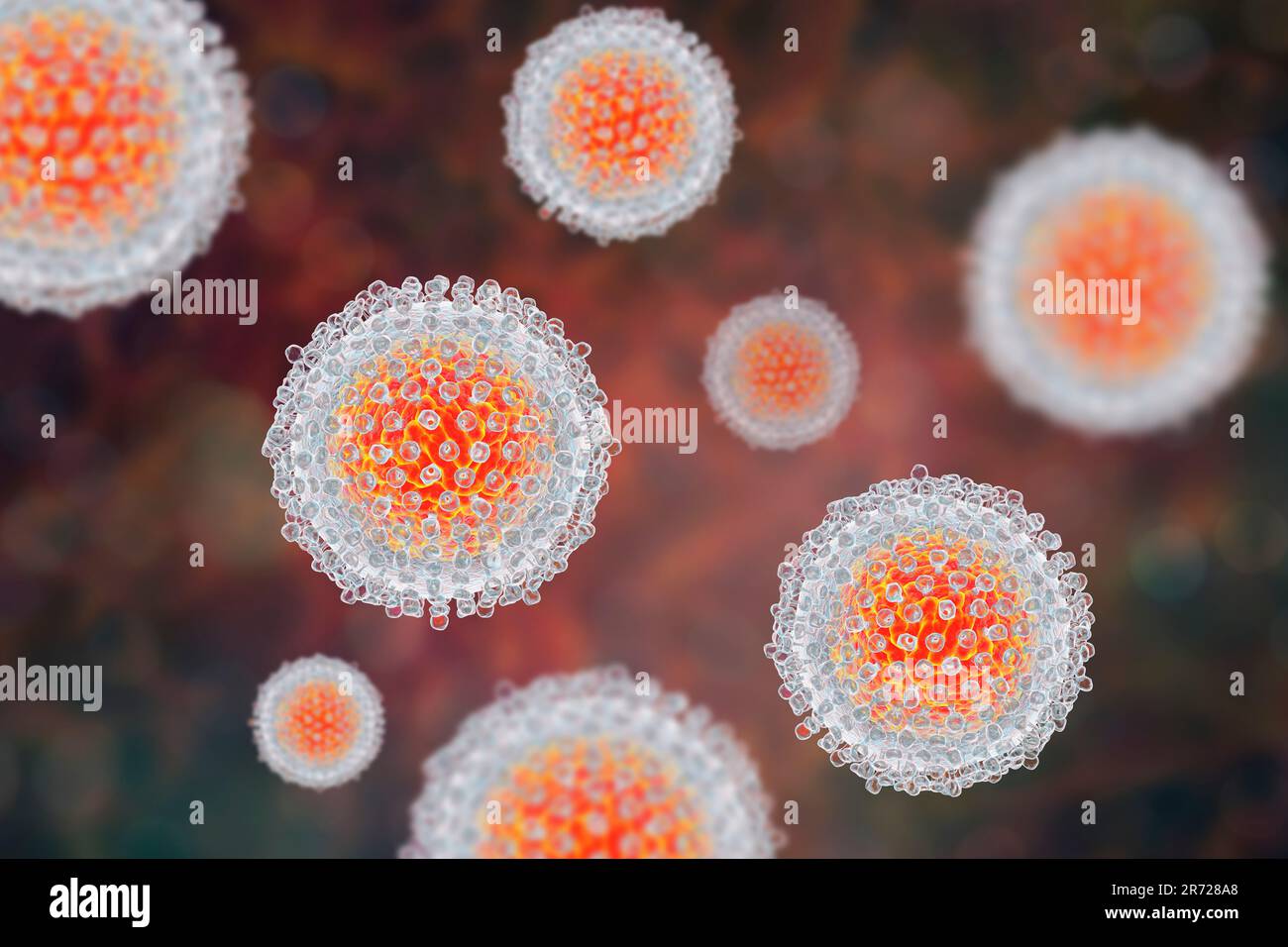Hepatitis C virus, artwork. Hepatitis C is most commonly spread by ...