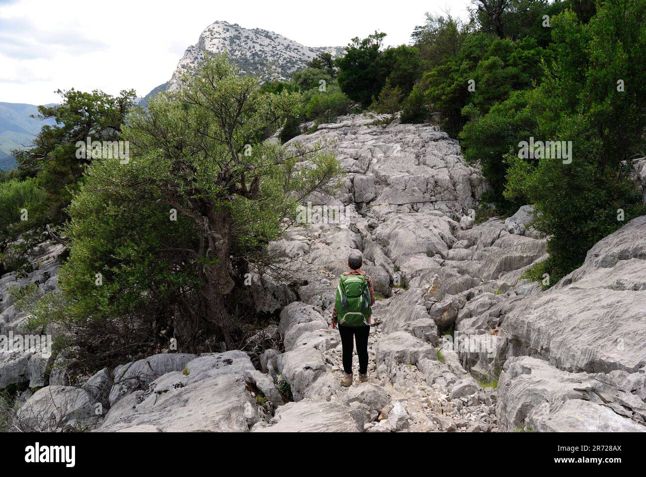 The path from cuile Sos Mojos to Surtana valley Stock Photo - Alamy