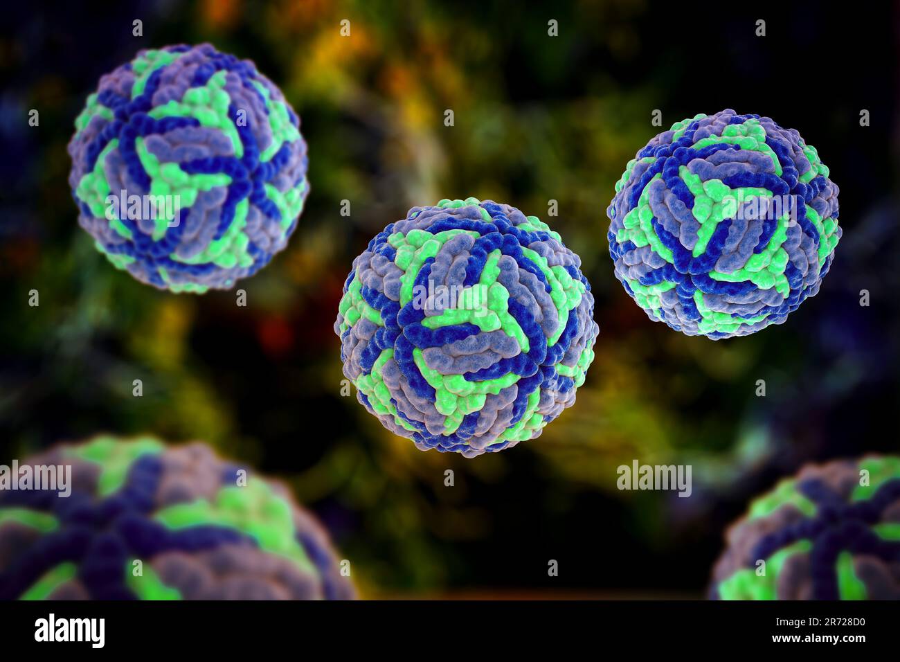 Japanese encephalitis virus (JEV), computer illustration. JEV is an RNA ...