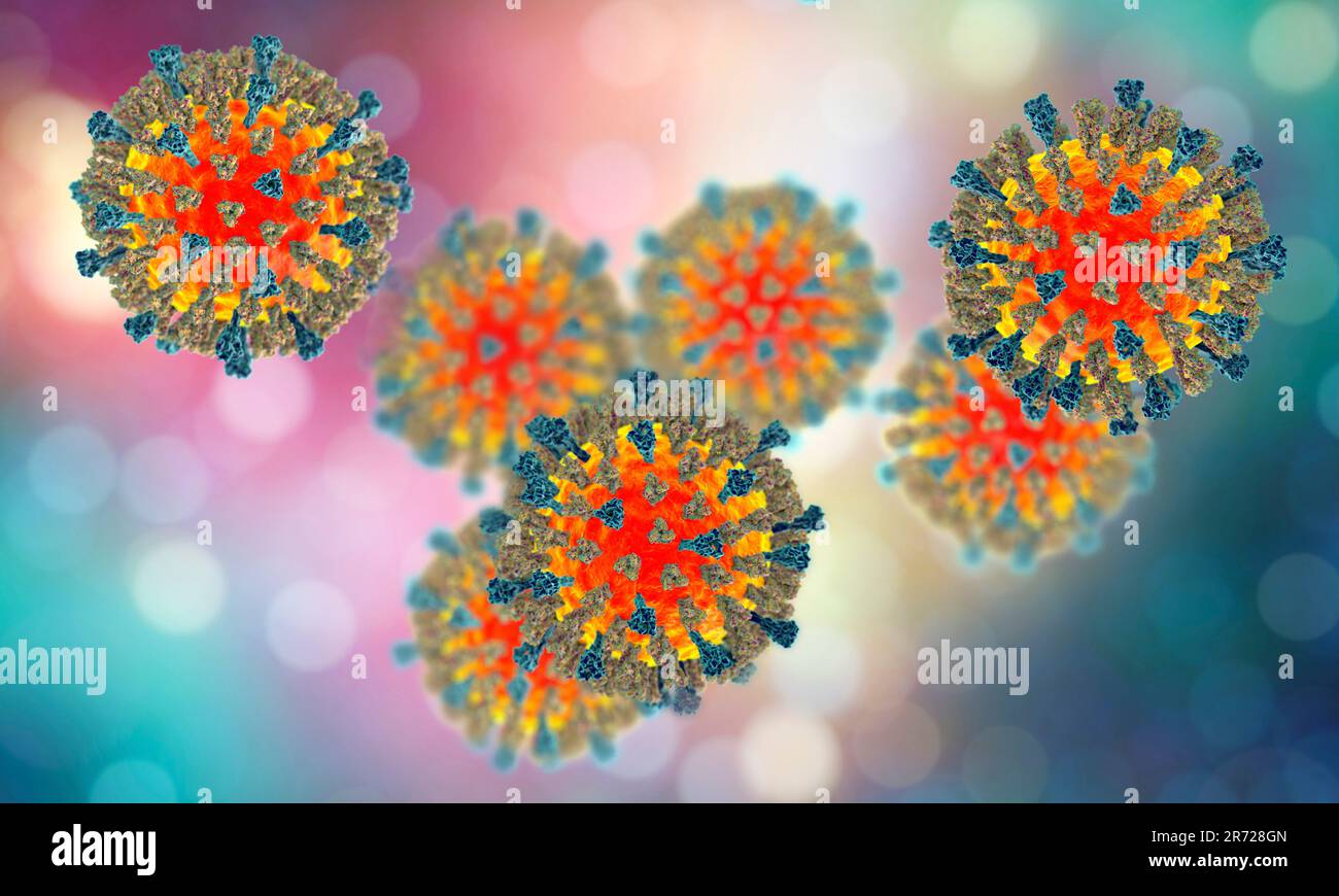 Measles virus particle, computer illustration. This virus, from the ...