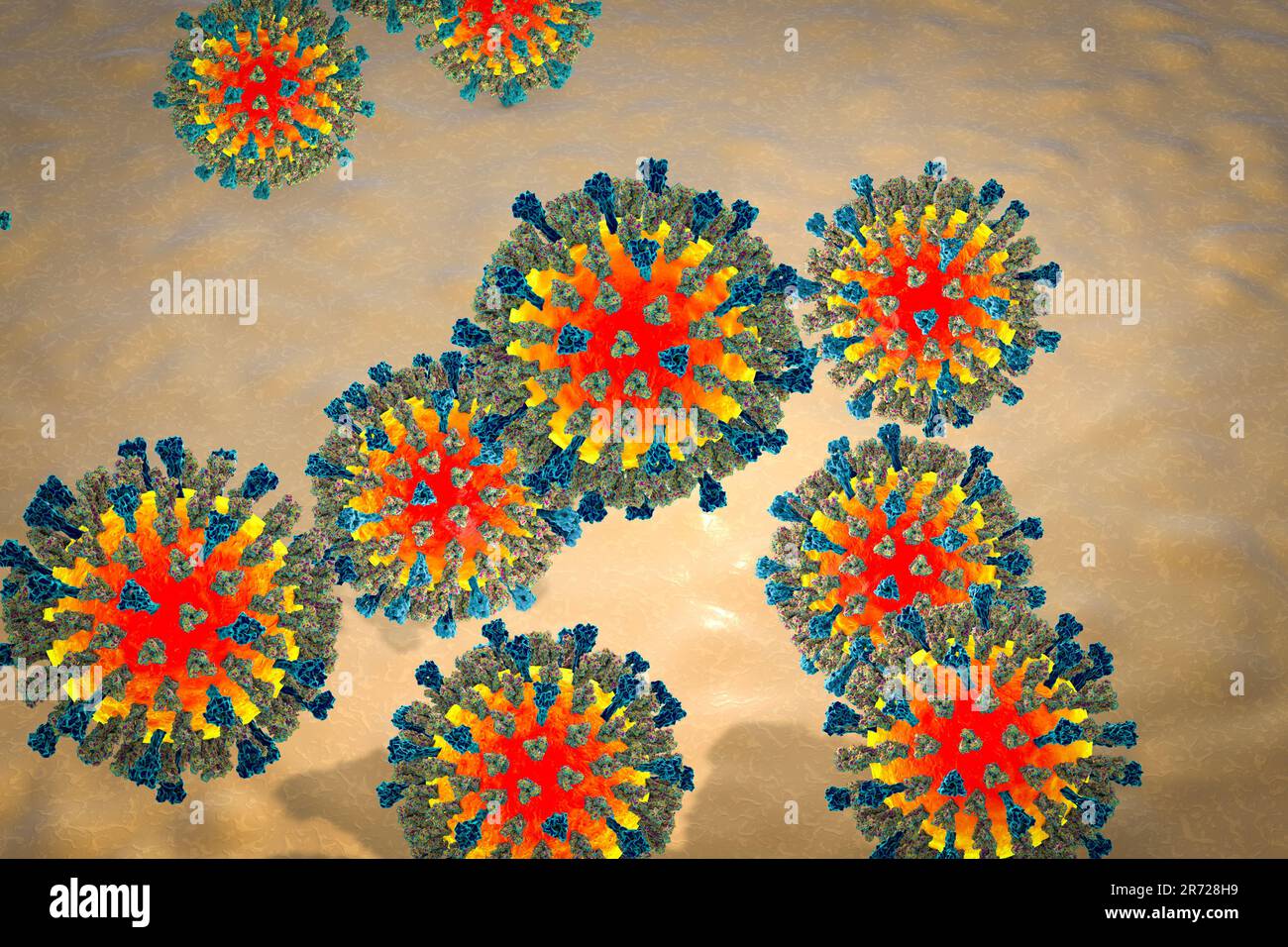 Measles virus particle, computer illustration. This virus, from the ...