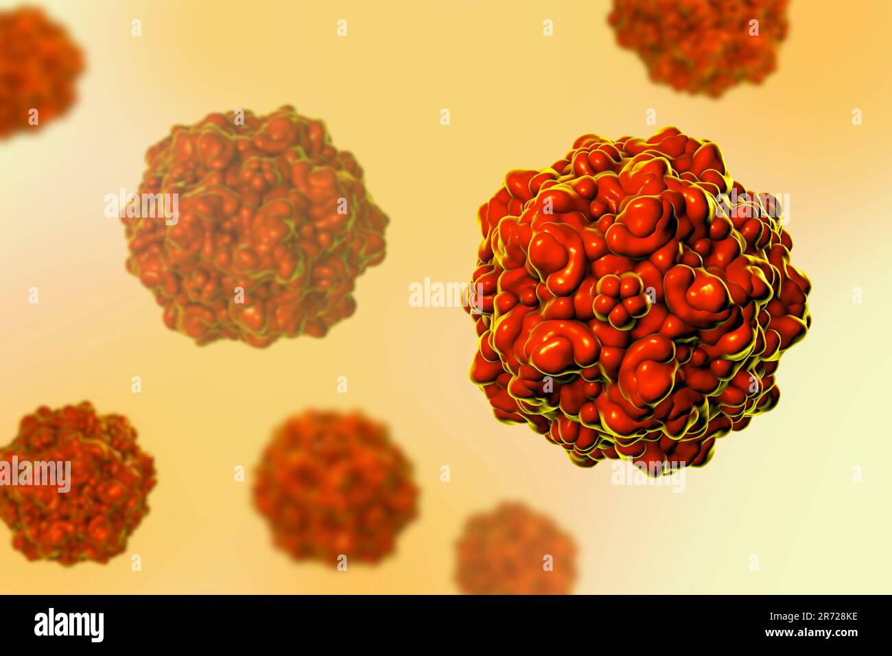 Porcine parvovirus, computer artwork. Molecular model showing the ...