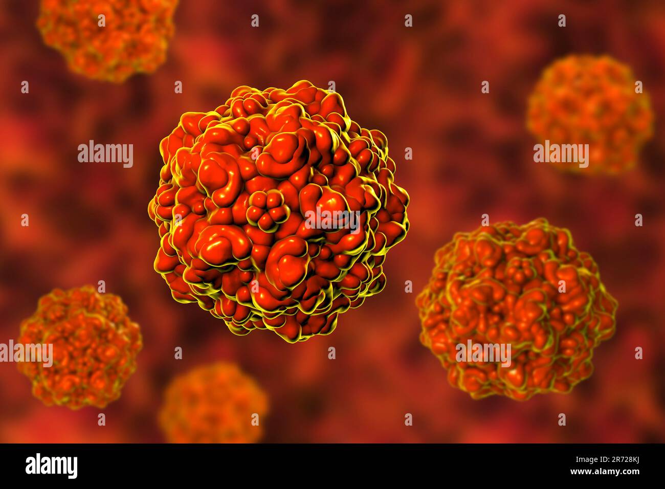 Porcine parvovirus, computer artwork. Molecular model showing the ... Porcine parvovirus, computer artwork. Molecular model showing the ...
