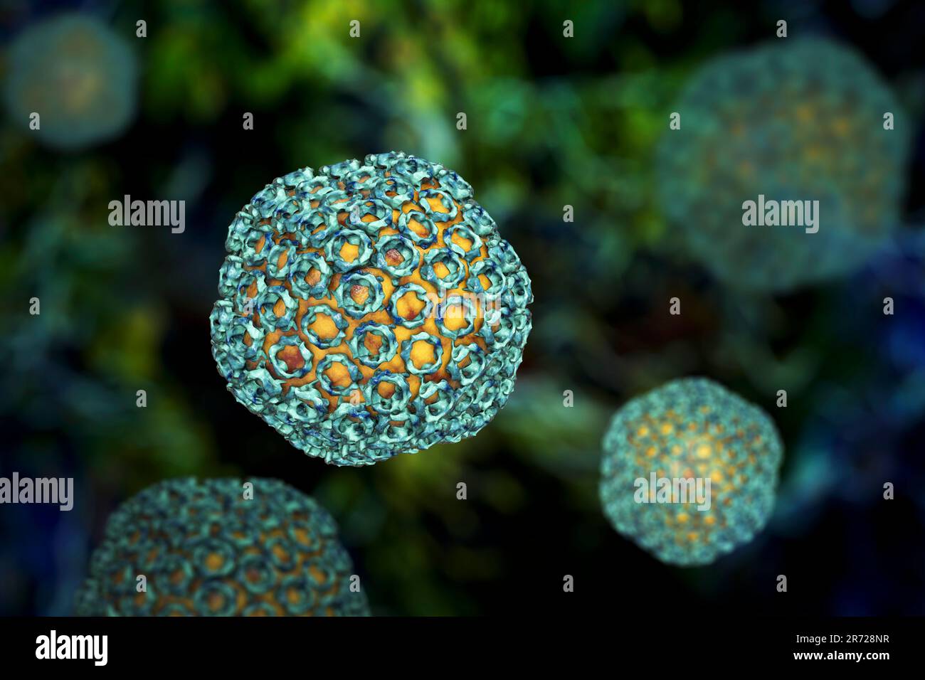 Rift Valley fever virus particles, computer illustration. This virus ...
