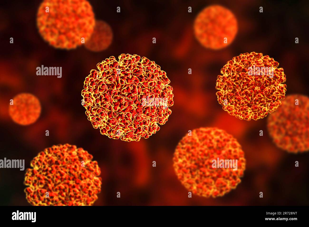 Ross River viruses (RRV), computer illustration. RRV is a small ...