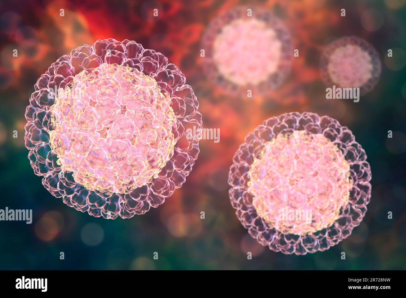 Rotavirus particle, computer artwork. The virus particle consists of an ...