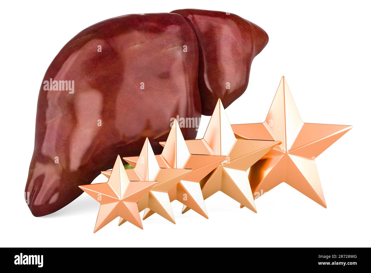 Human liver with gallbladder with five golden stars, 3D rendering ...