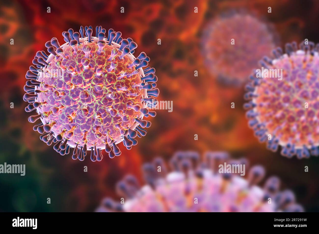 Rotavirus particle, computer artwork. The virus particle consists of an ...