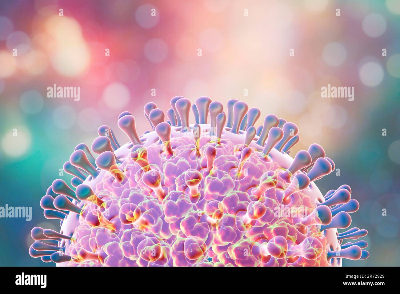 Rotavirus particle, computer artwork. The virus particle consists of an ...