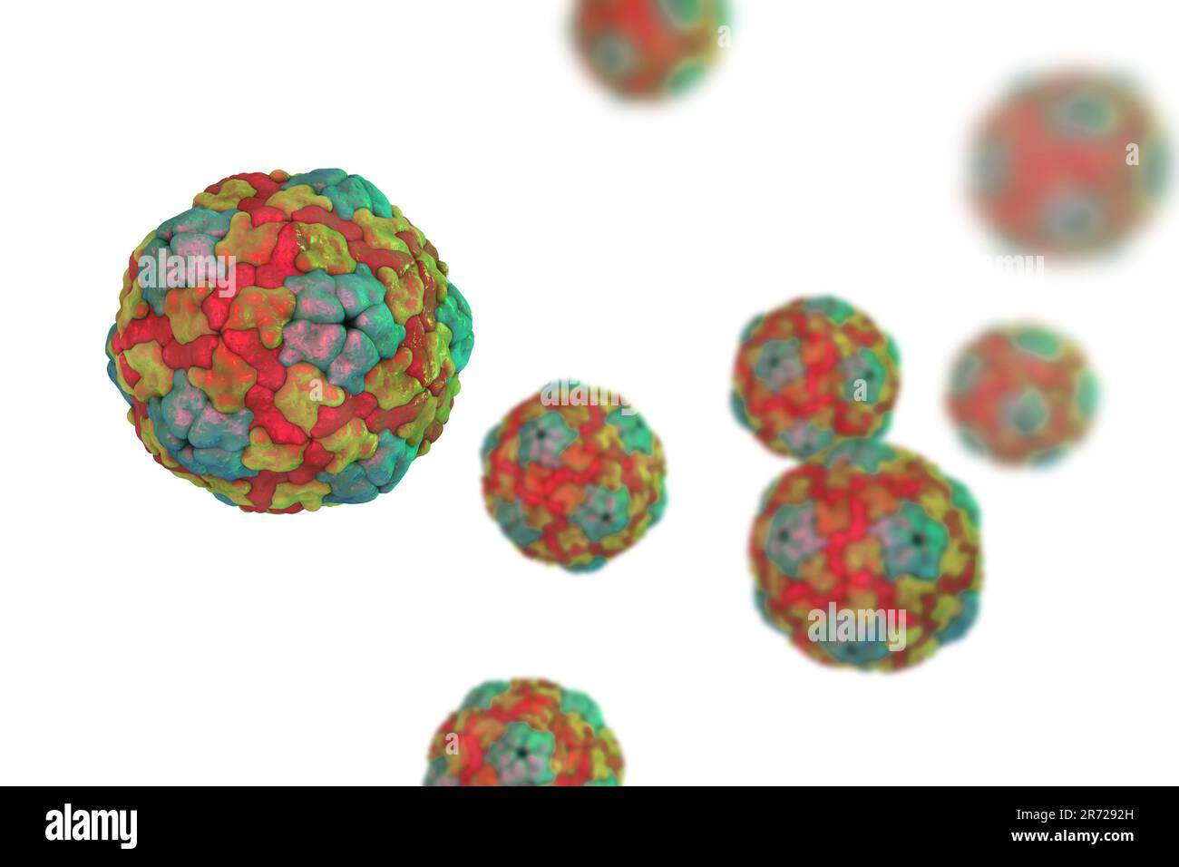 Salivirus, computer artwork. Saliviruses are non-enveloped RNA viruses ...