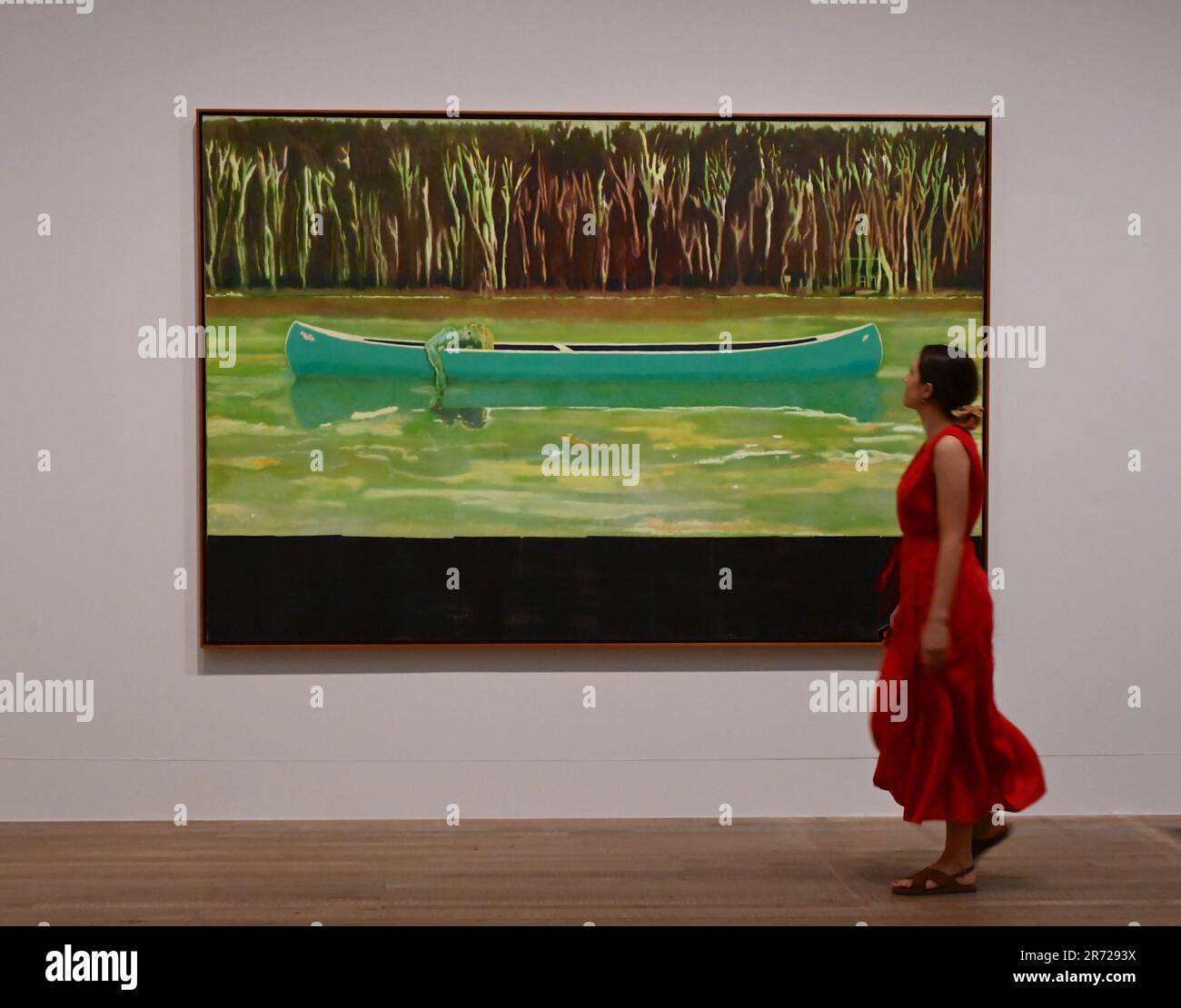 Peter doig canoe hi-res stock photography and images - Alamy