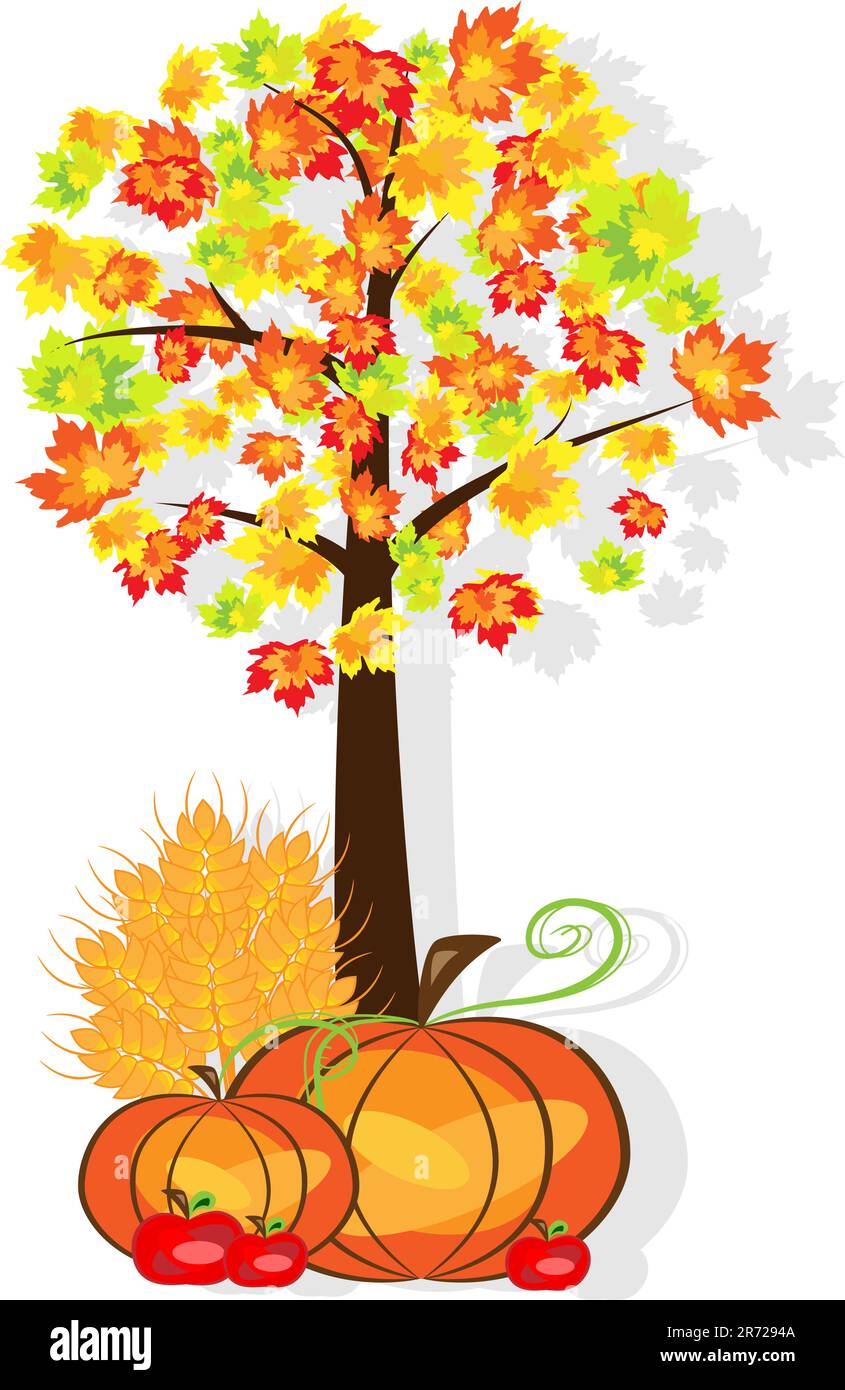Vector picture of thanksgiving background with pumpkins, crop, apples ...