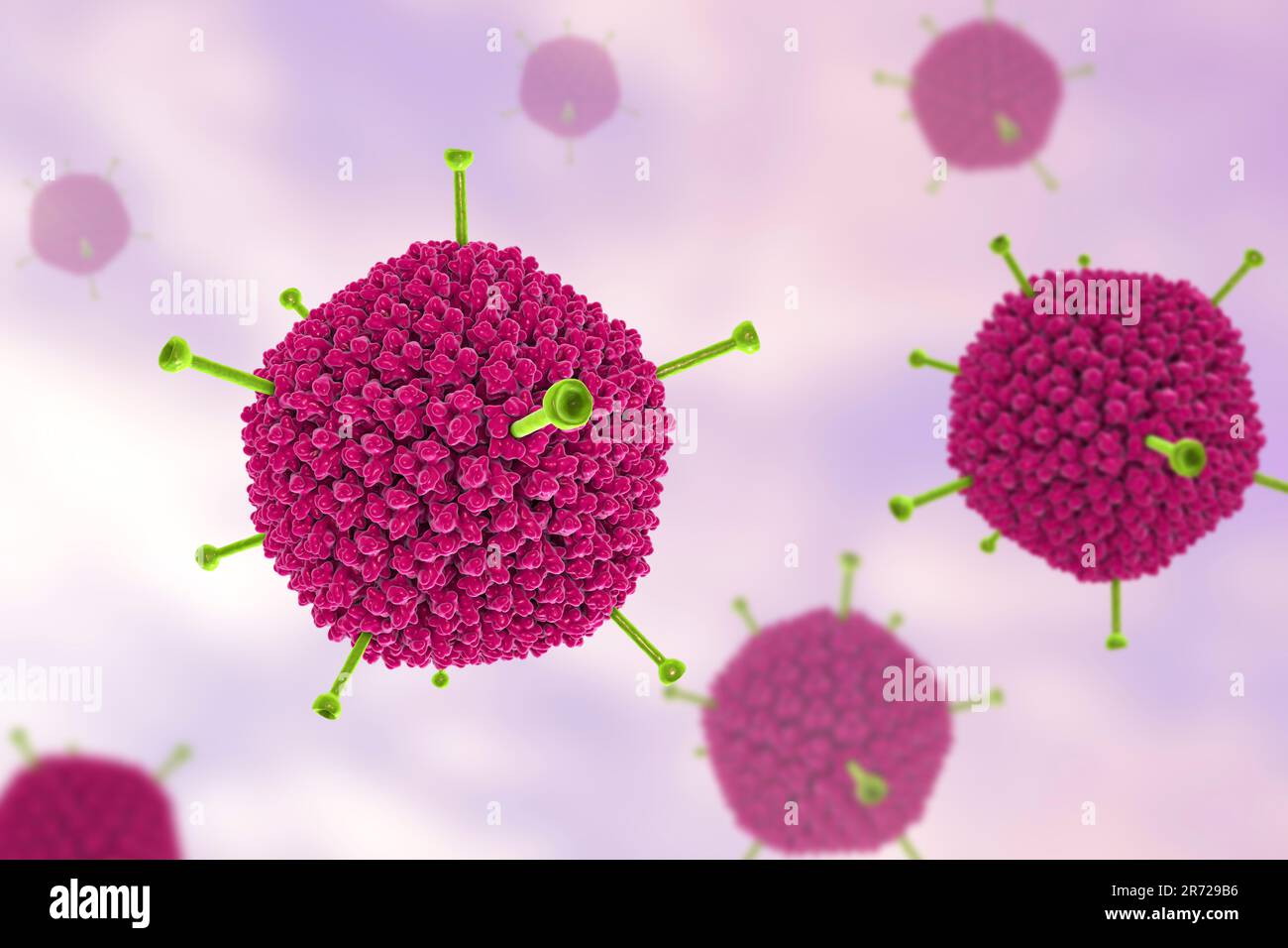 Adenoviruses, computer illustration showing the surface structure of ...