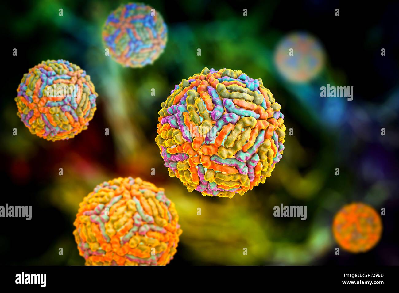 West Nile virus particle, computer illustration. West Nile virus (WNV ...