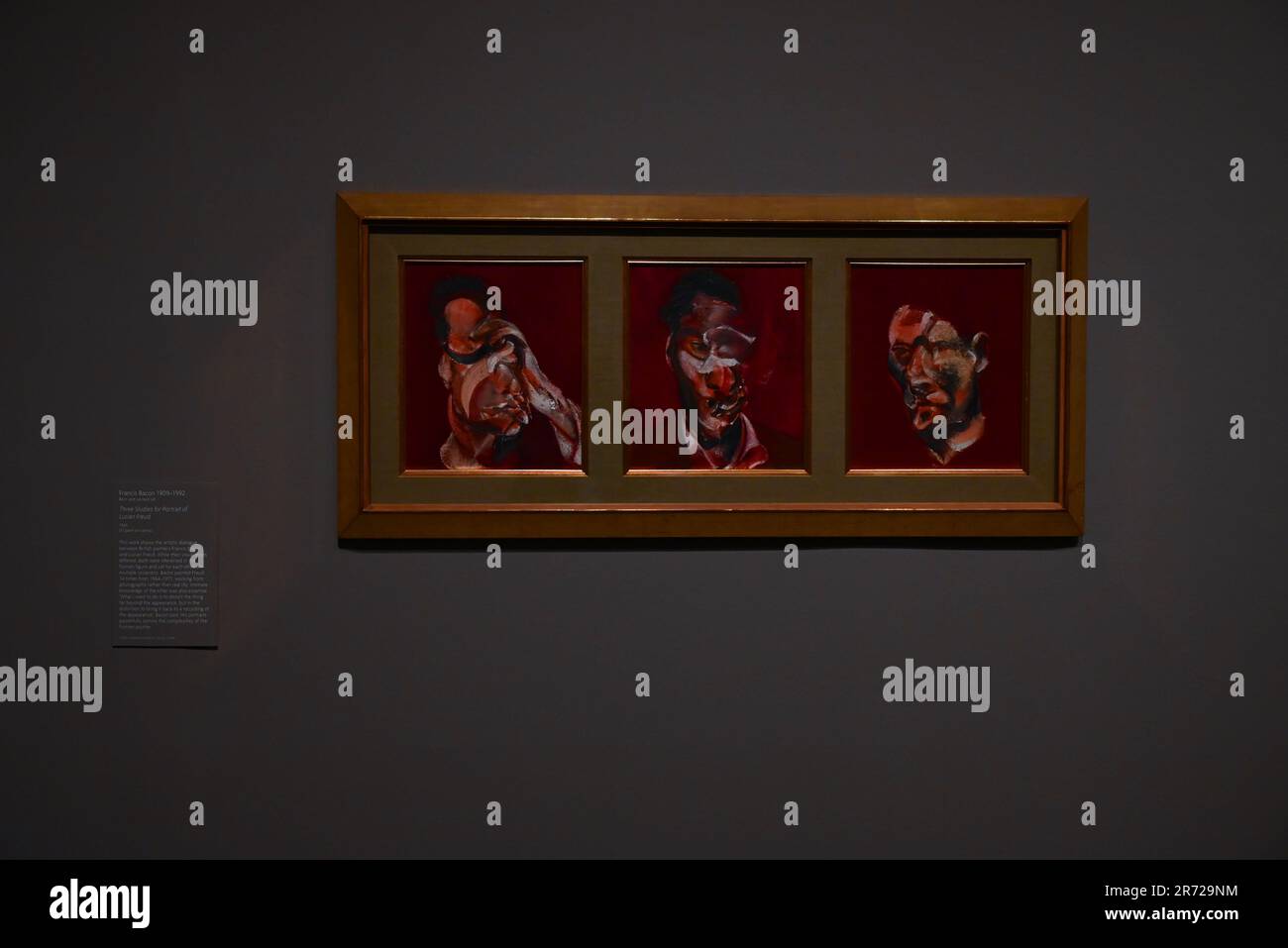 Capturing the Moment begins with some of the most renowned expressive ...