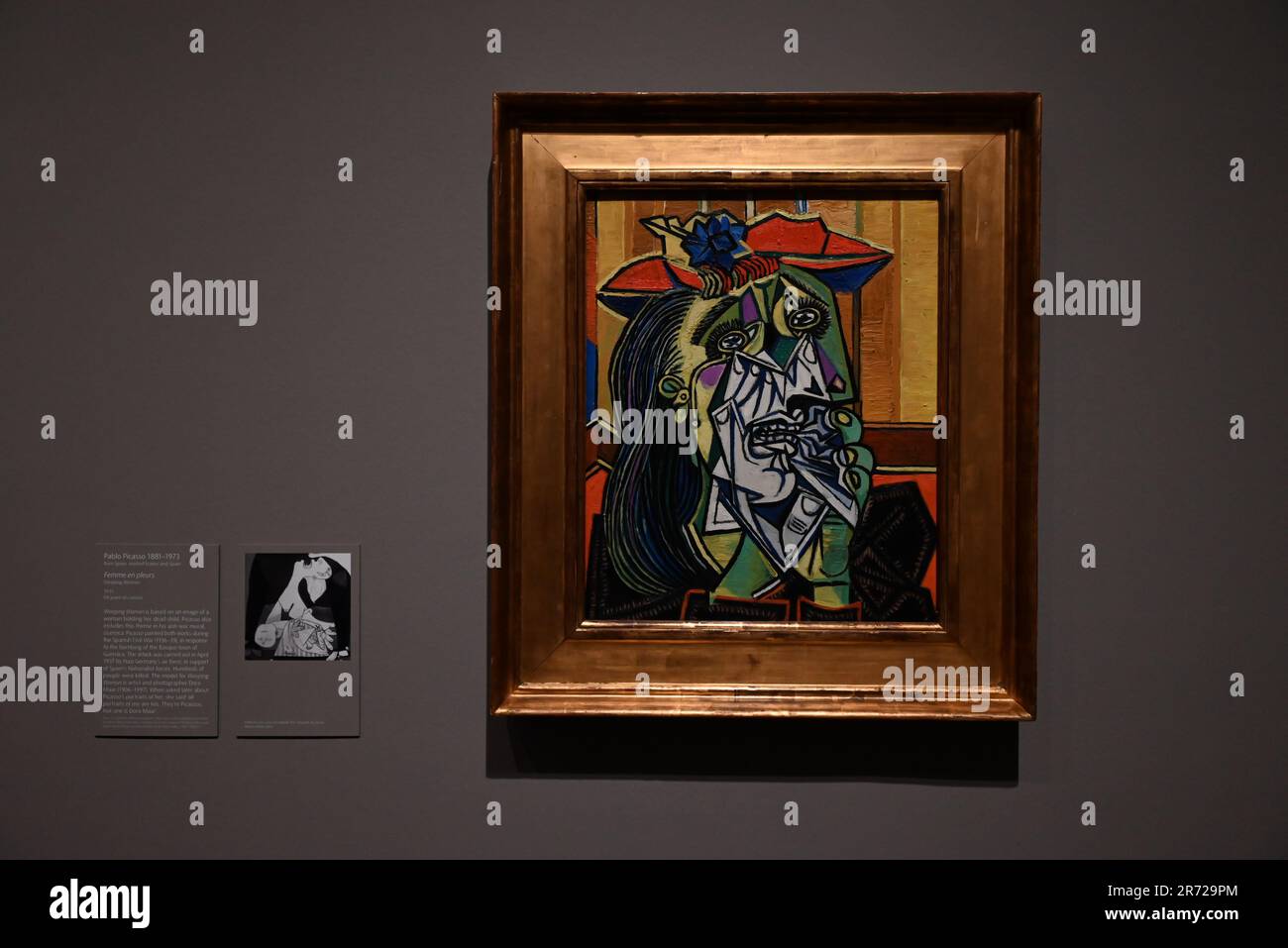 Capturing the Moment begins with some of the most renowned expressive ...